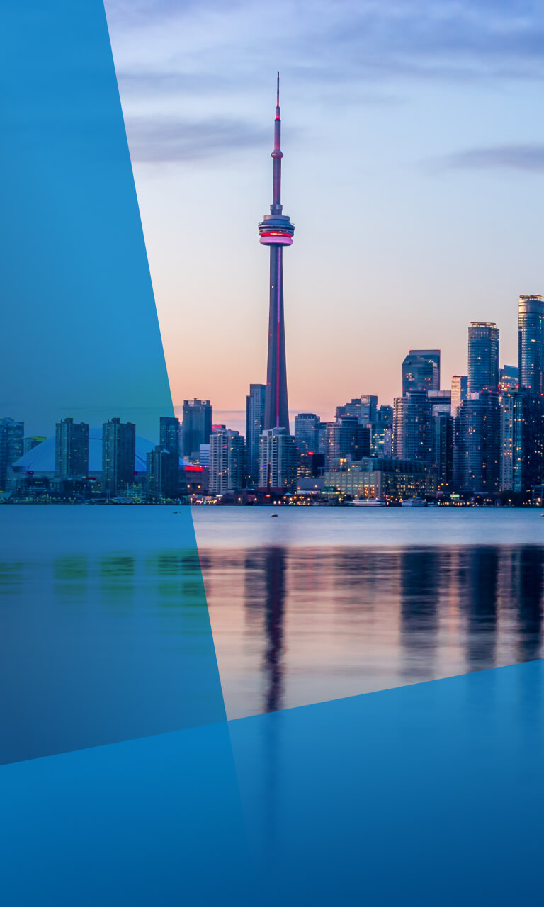 Niagara College Toronto