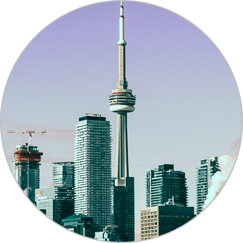 Niagara College Toronto